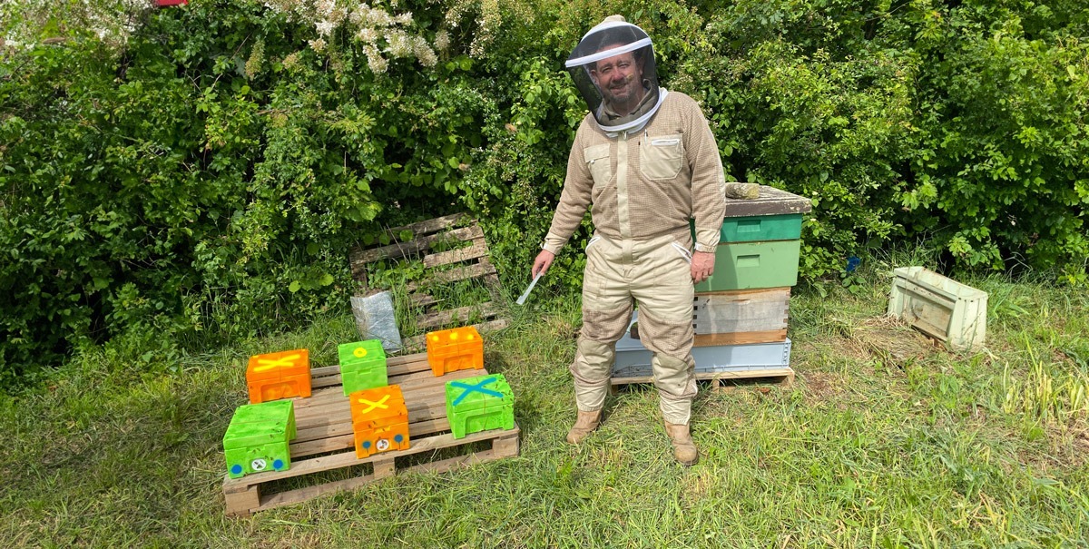 Life Cycles and Spectacular Growth – The Walrus and the Honey Bee